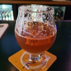 THE GREEN LADY - 30 Photos & 107 Reviews - Beer Bar - 3328 N Lincoln ...