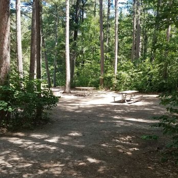 DEER LAKE CAMPGROUND CHIPPEWA NATIONAL FOREST - Updated July 2025 ...