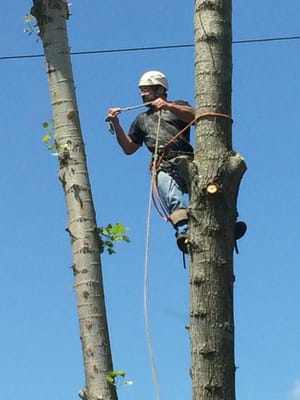 FALLING TIMBERS TREE SERVICE - Updated December 2025 - 15 Photos & 11 ...