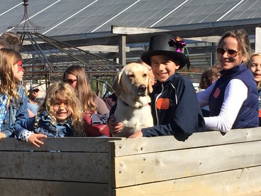 WINDMILL FARM MARKET - Updated January 2026 - 25 Photos - 1454 E State ...