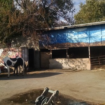 ARABBER PRESERVATION SOCIETY - Updated March 2025 - 118 S Arlington Ave ...