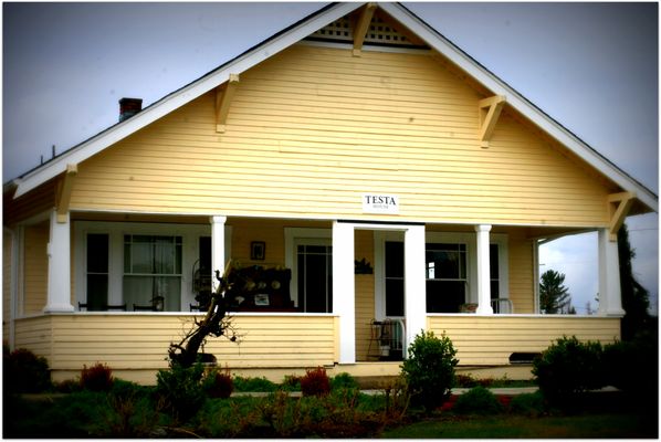 TESTA VINEYARDS - Updated December 2025 - 113 Photos & 49 Reviews ...