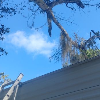 SUNCOAST RV RESORT - Updated December 2025 - 16 Photos - 9029 US Hwy 19 ...