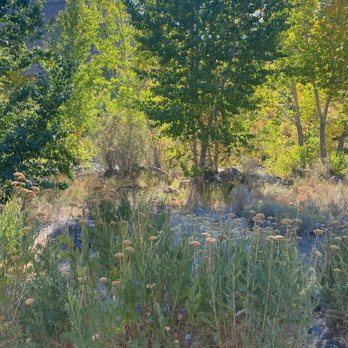 MAYBERRY PARK - 198 Photos & 47 Reviews - Yelp