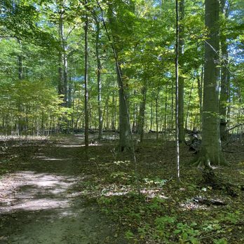 WARREN WOODS STATE PARK - Updated December 2025 - 40 Photos - Elm ...