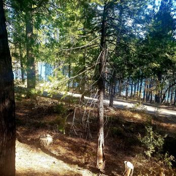 Sly Park Recreation Area - 413 Photos & 137 Reviews - Hiking - 4771 Sly ...