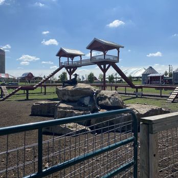 FUN FARM PUMPKIN PATCH - Updated October 2024 - 72 Photos & 39 Reviews ...