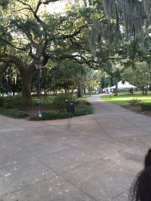 LIVE OAK PUBLIC LIBRARIES - Updated October 2025 - 22 Photos & 11 ...