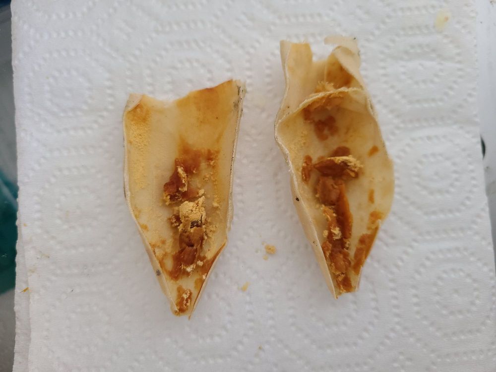 EAR CONING BY NICOLE - Updated December 2025 - 29 Reviews - Sherman ...