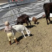 RANCHO LOS FONSECA - 114 Photos & 21 Reviews - 3275 Bronson St, Muscoy ...