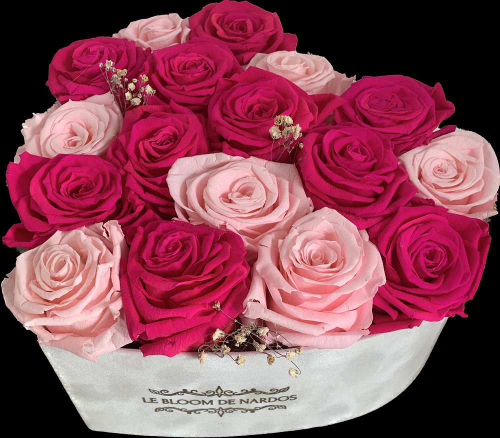 LE BLOOM DE NARDOS - Updated October 2025 - 16 Photos - Springfield ...