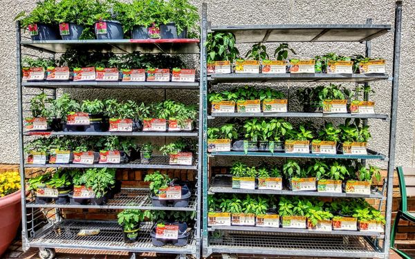 AYERS VARIETY & HARDWARE - Updated September 2025 - 22 Photos & 143 ...