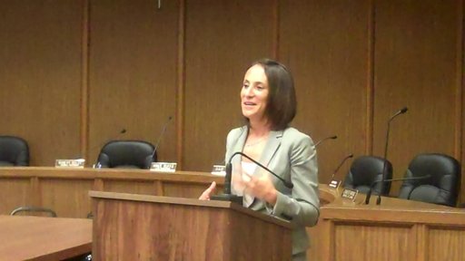 THE LAW OFFICE OF CARLY L SNAVELY - Updated October 2025 - 34 S Main St ...