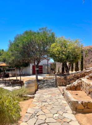 CAVA MACIEL - Updated August 2025 - 53 Photos & 20 Reviews - Manzana 7 ...