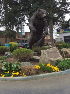 BROWN BEAR CAR WASH - 48 Photos & 73 Reviews - 17809 Redmond Way ...