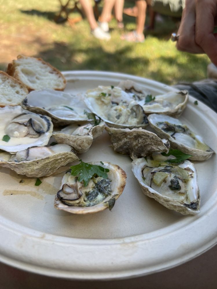 THE JUDITH CAFE - Updated September 2024 - 113 Photos & 36 Reviews ...