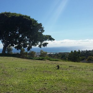 MAKAKILO COMMUNITY PARK - 23 Photos - 92-1120 Makakilo Dr, Kapolei ...