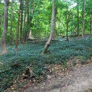 COLD SPRING HARBOR STATE PARK - 233 Photos & 60 Reviews - 83-141 State ...