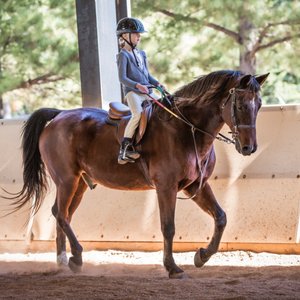 CROSS CREEK STABLES - 75 Photos - 2200 NW 192nd St, Edmond, Oklahoma ...