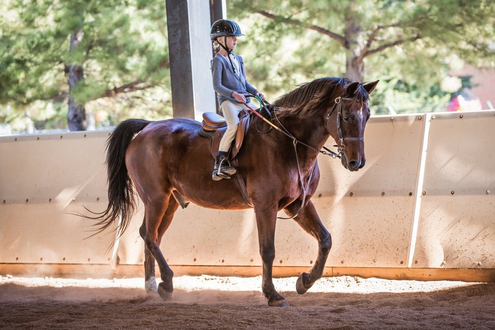 COTTONWOOD CREEK RANCH - 50 Photos - 907 N Chisholm Rd, Oklahoma City ...