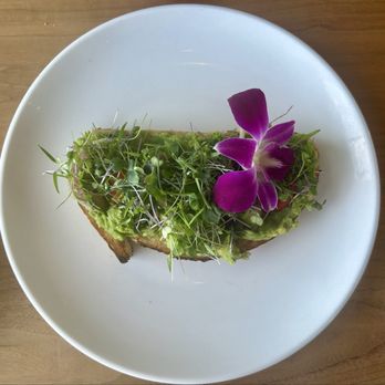 SOLERA - Updated October 2025 - 1825 Photos & 255 Reviews - 383 ...