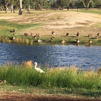 TULARE GOLF COURSE - Updated December 2025 - 24 Photos & 19 Reviews ...