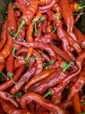 TANNER BROTHERS DAIRY - 76 Photos & 132 Reviews - Farmers Market - 1070 ...