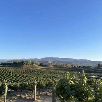 LEONESS CELLARS - Updated January 2025 - 2838 Photos & 2255 Reviews ...