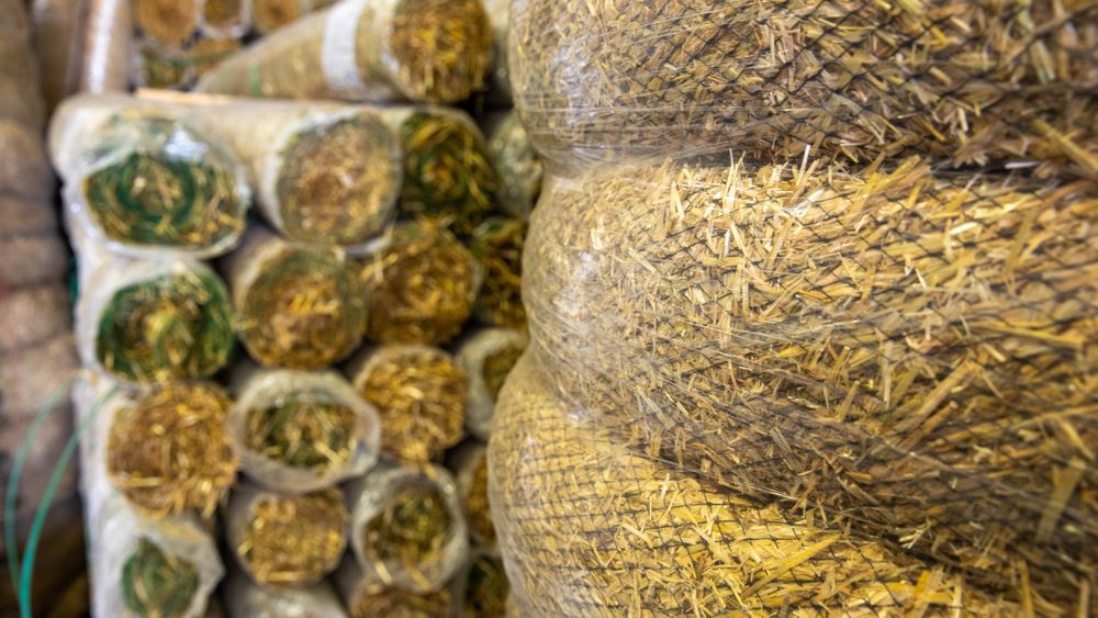 EWING OUTDOOR SUPPLY - Updated January 2026 - 15 Photos - 15579 E ...