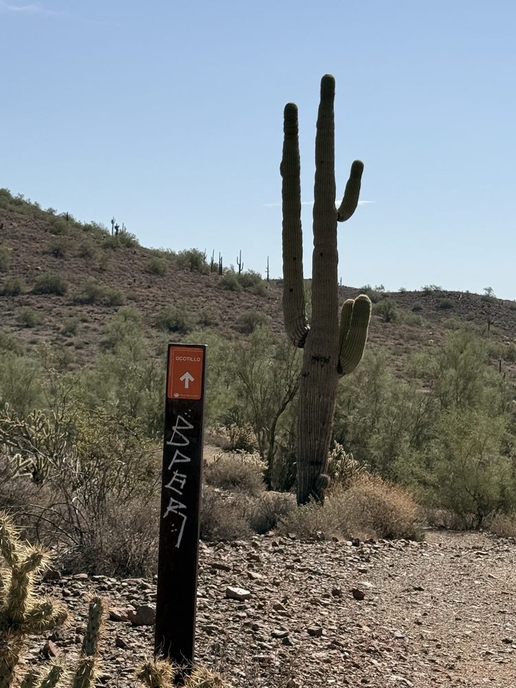 APACHE WASH TRAILHEAD - Updated May 2026 - 149 Photos & 31 Reviews - E ...