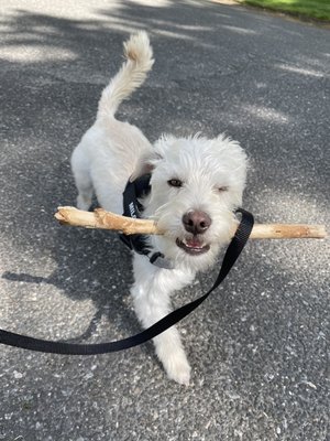 RUFF HOUSE RESCUE - Updated March 2025 - 145 Photos & 168 Reviews ...