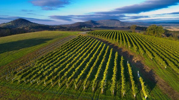 THE VINEYARD BY STONY RUN - Updated September 2025 - 67 Kempton Rd ...