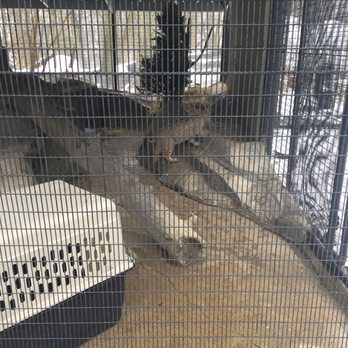 TRAILSIDE MUSEUMS & ZOO - Updated November 2025 - 188 Photos & 34 ...