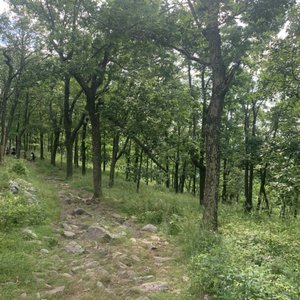 WORTHINGTON STATE FOREST - 168 Photos & 41 Reviews - 2 Old Mine Rd ...