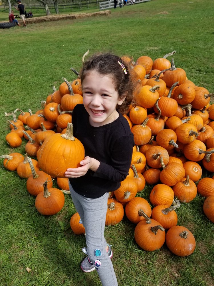 ADAM’S FARM - 29 Photos - Pumpkin Patches - 495 Sumner Brown Rd ...