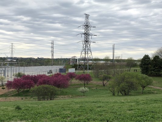 OPPD ARBORETUM - Updated April 2024 - 60 Photos & 13 Reviews - 10600 ...