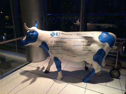 BLUE CROSS BLUE SHIELD OF ILLINOIS - Updated December 2025 - 18 Photos ...