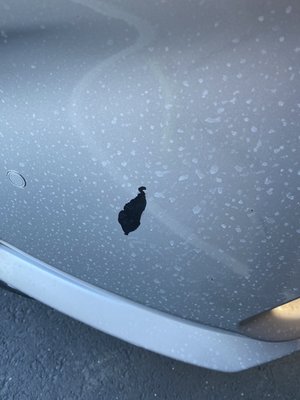 CARMAX - Updated November 2025 - 97 Photos & 449 Reviews - 830 Dan Way ...