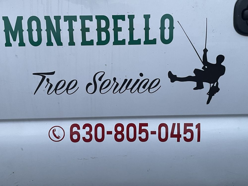 MONTEBELLO TREE SERVICE - Updated May 2026 - Schaumburg, Illinois ...