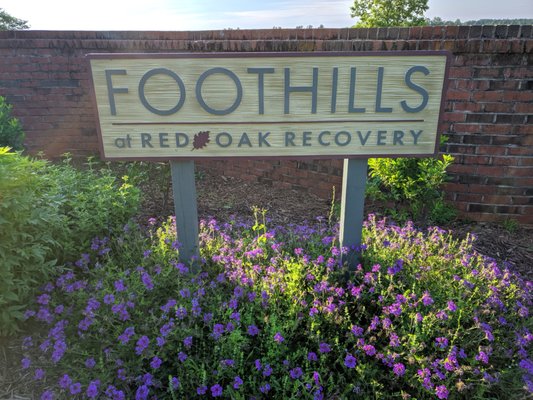 FOOTHILLS AT RED OAK RECOVERY - Updated April 2026 - 16 Photos - 517 ...