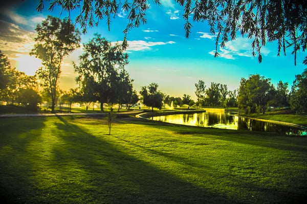 BUCKLIN PARK - 15 Photos & 12 Reviews - Parks - S 8th St Ross Ave ...