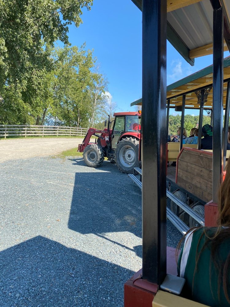 LIBERTY RIDGE FARM - 70 Photos & 16 Reviews - 29 Bevis Rd, Schaghticoke ...
