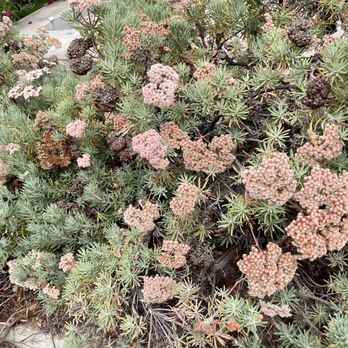 WATERWISE COMMUNITY CENTER - Updated December 2025 - 78 Photos & 16 ...