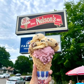 NELSON’S ICE CREAM - Updated June 2025 - 156 Photos & 187 Reviews - 454 ...