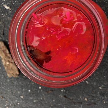 PREUSS PETS - Updated November 2024 - 74 Photos & 79 Reviews - 1127 N ...