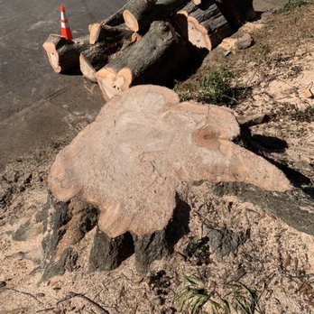 AKA TREE SERVICE - Updated December 2025 - 70 Photos & 43 Reviews ...