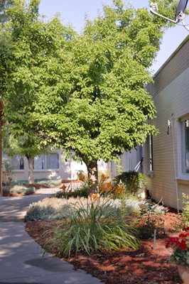 VIBRA HOSPITAL OF DENVER - Updated May 2026 - 33 Photos - 8451 Pearl St ...