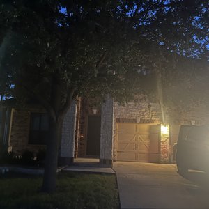 ALAMO MANAGEMENT GROUP - Updated April 2025 - 20 Photos & 81 Reviews ...