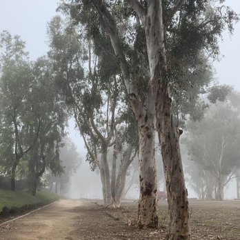 TRI-CITY PARK - 397 Photos & 120 Reviews - 2301 N Kraemer Blvd ...