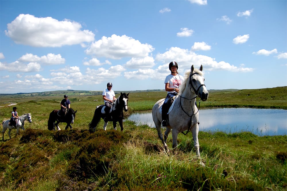 MOYCULLEN RIDING CENTRE - Updated October 2025 - Poulnaclough, Galway ...